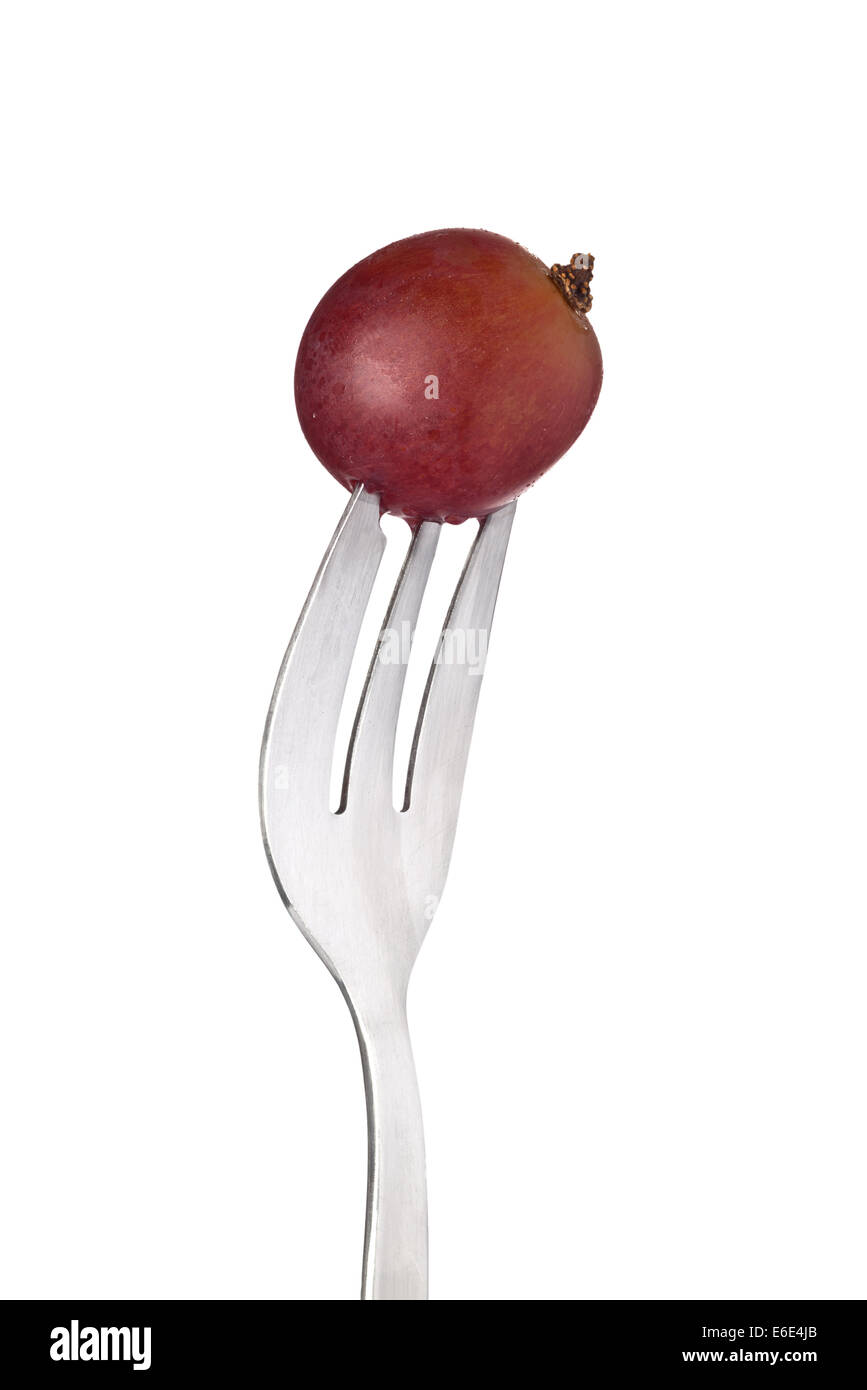 Single Red Globe grape held by a fork isolated on white background ...