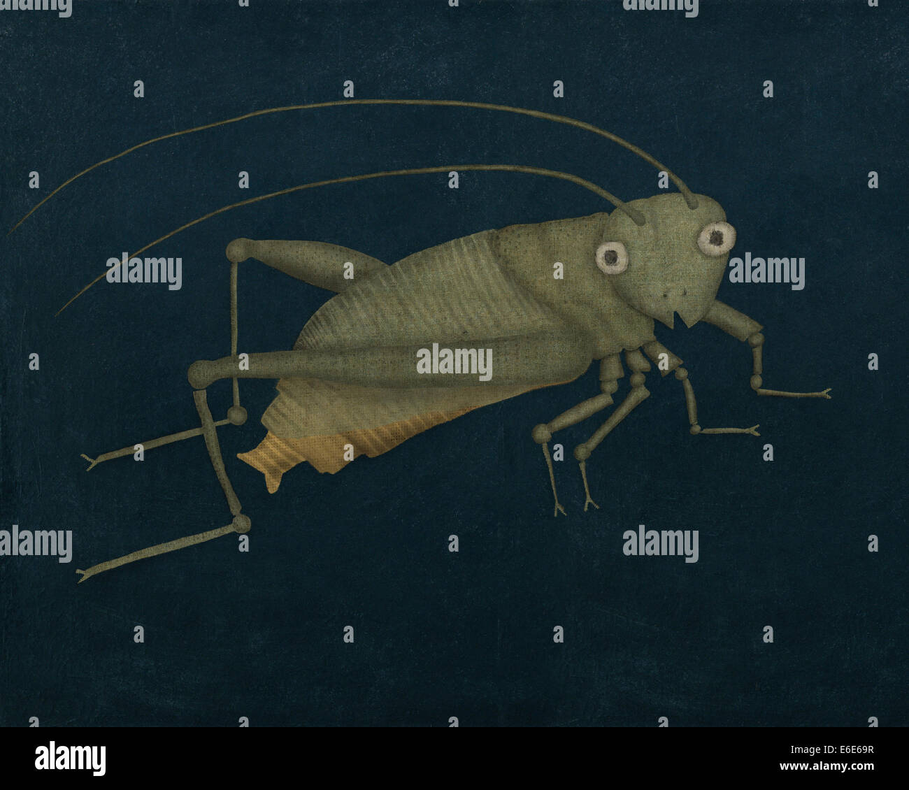 Illustration of a grasshopper hi-res stock photography and images - Alamy