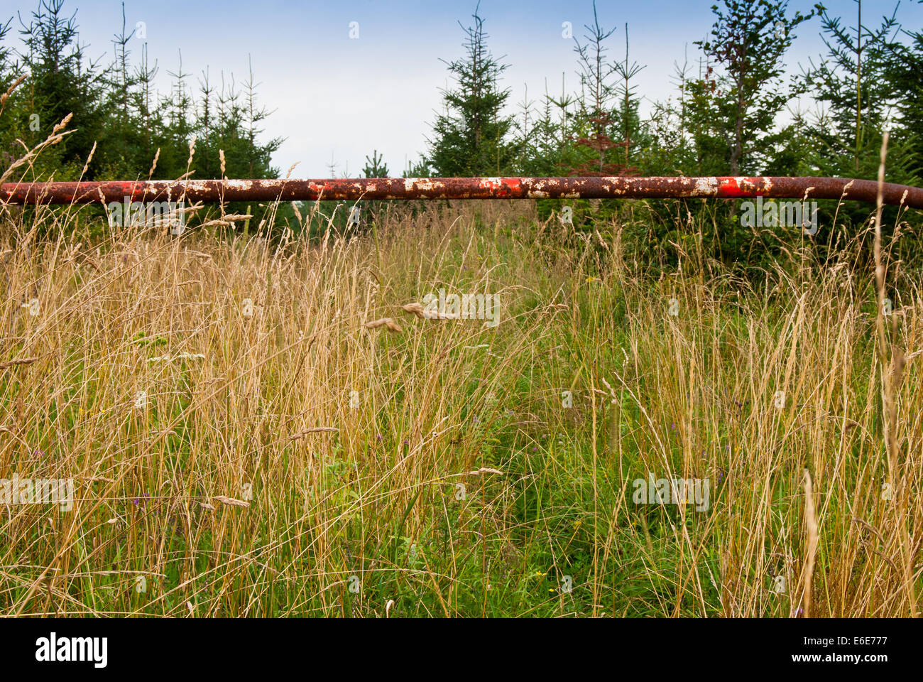 The barrier blocking way to the forest Stock Photo - Alamy