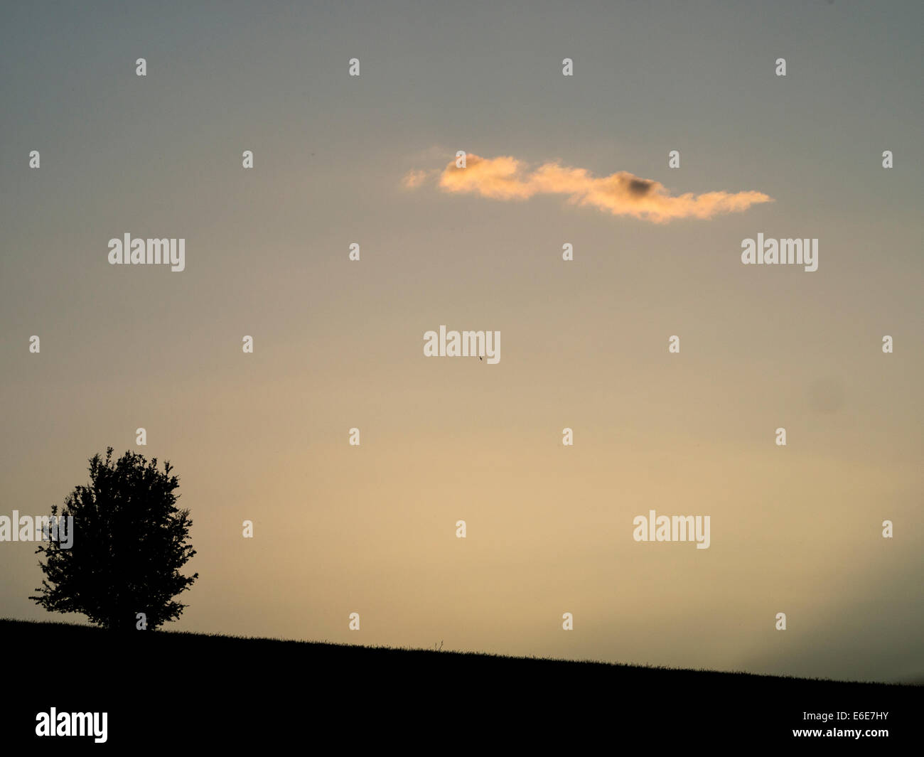 sky dusk horizon sunset Stock Photo - Alamy