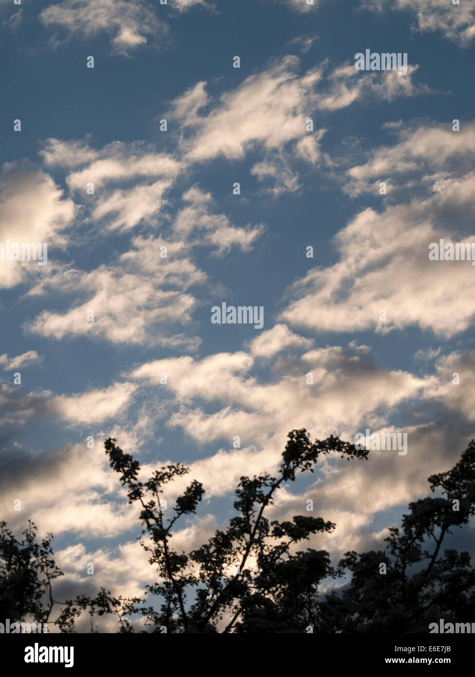 sky dusk horizon sunset Stock Photo - Alamy