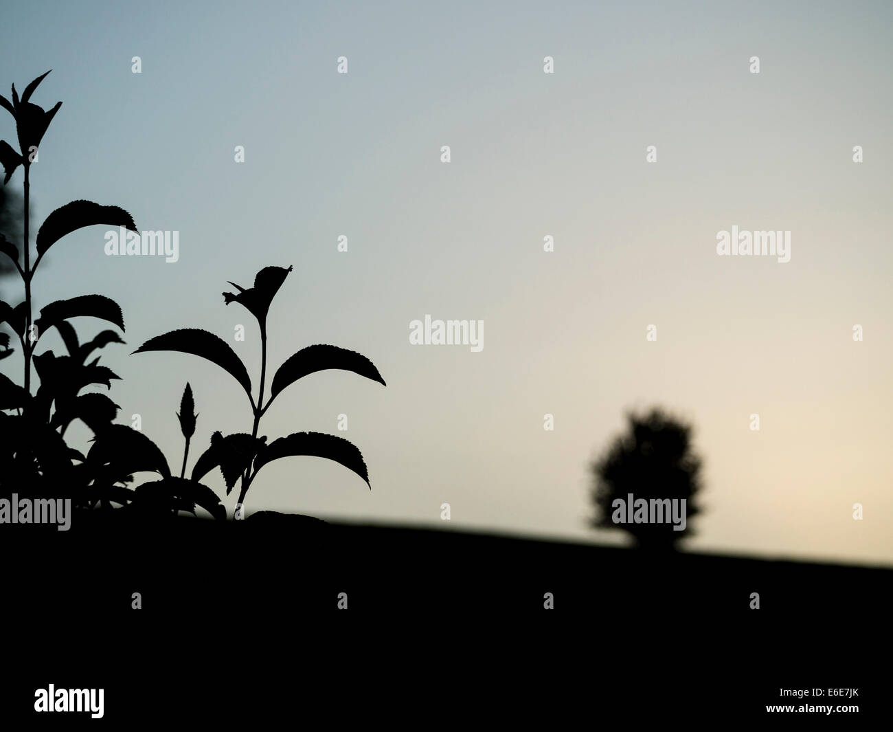 sky dusk horizon sunset Stock Photo - Alamy