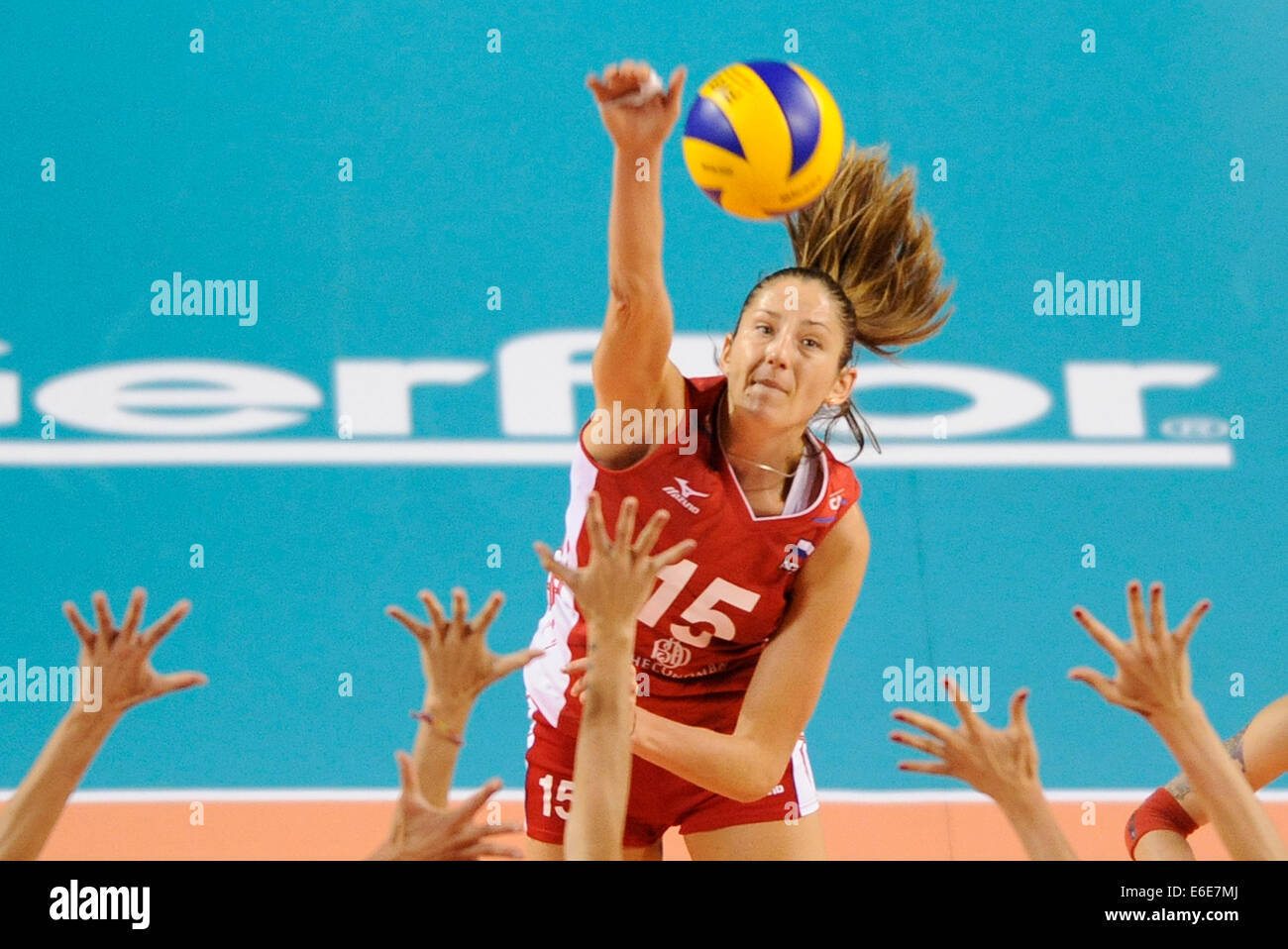 Kosheleva hi-res stock photography and images - Alamy