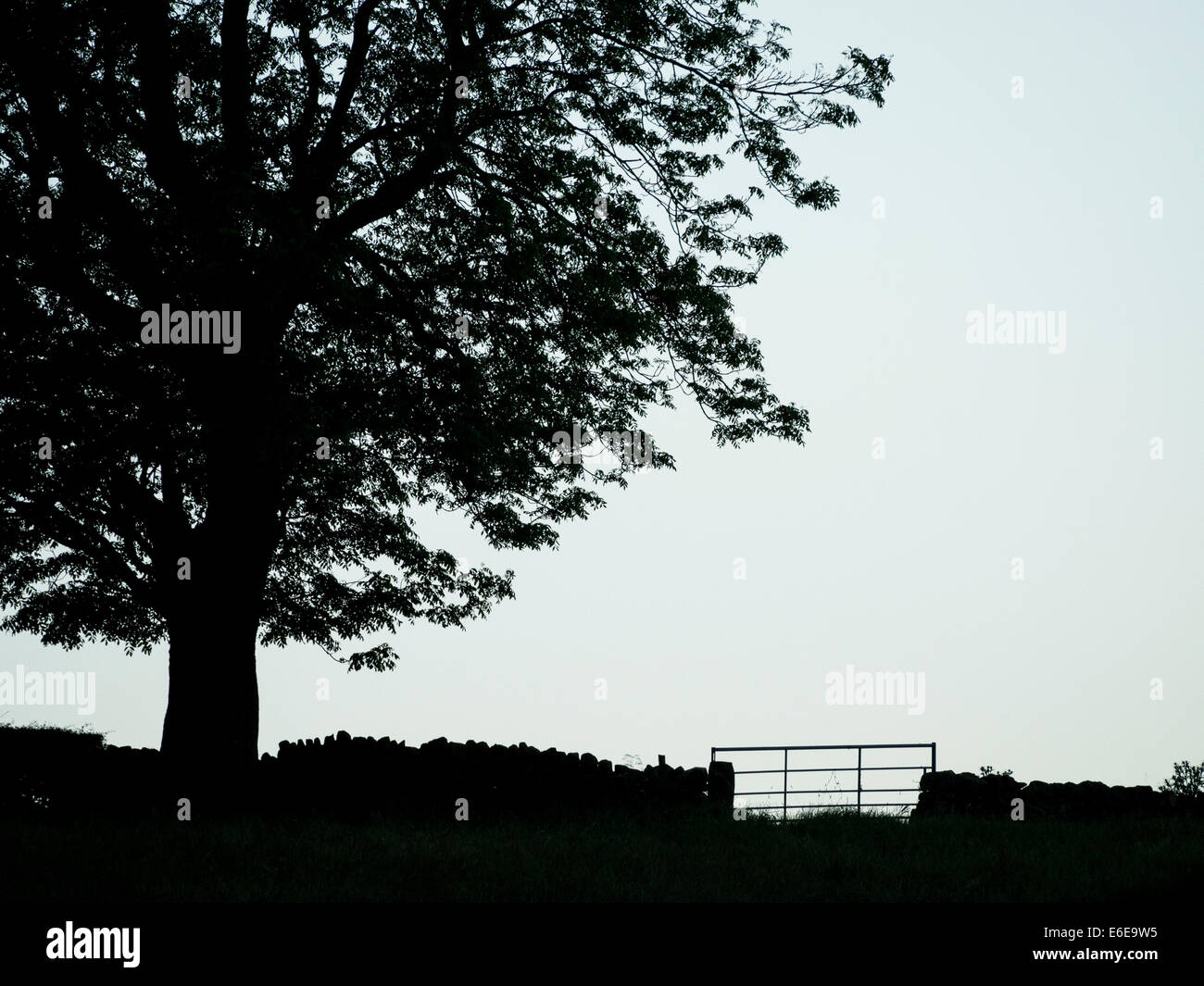 sky dusk horizon sunset Stock Photo - Alamy