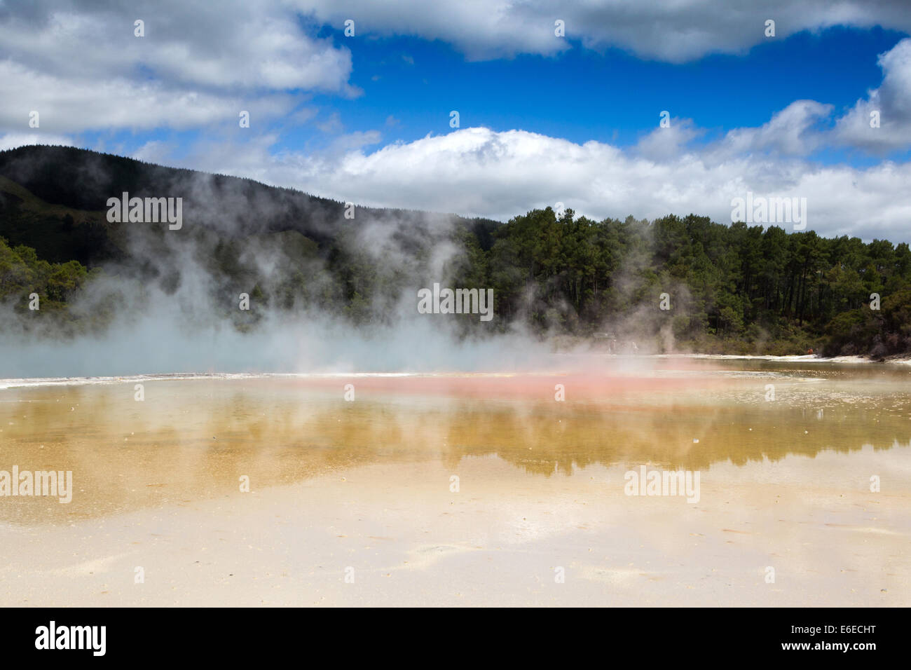 Volcanic Pool in Wai-O-Tapu thermal wonderland, New Zealand Stock Photo ...