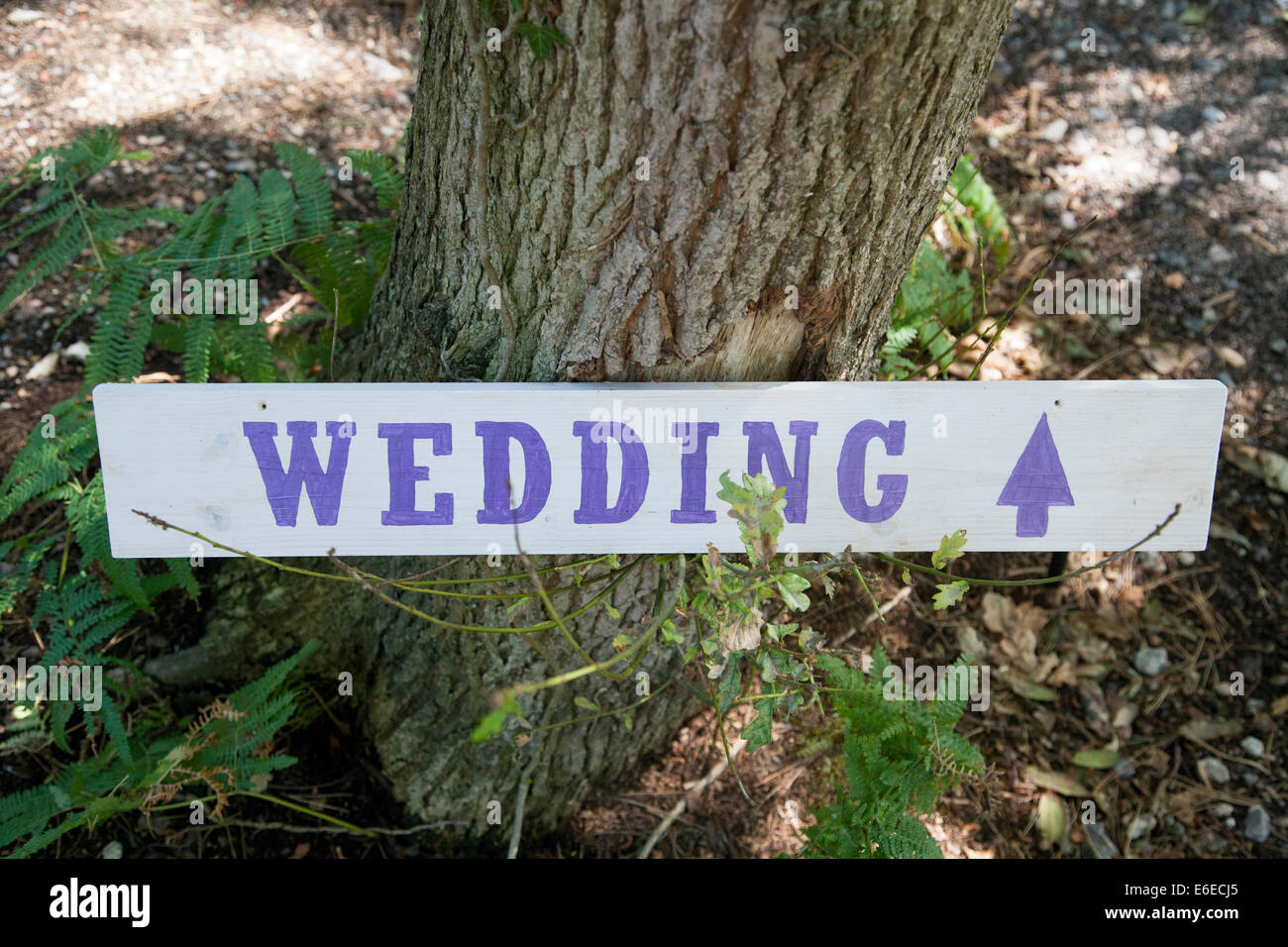 Wedding sign in a forest Stock Photo - Alamy