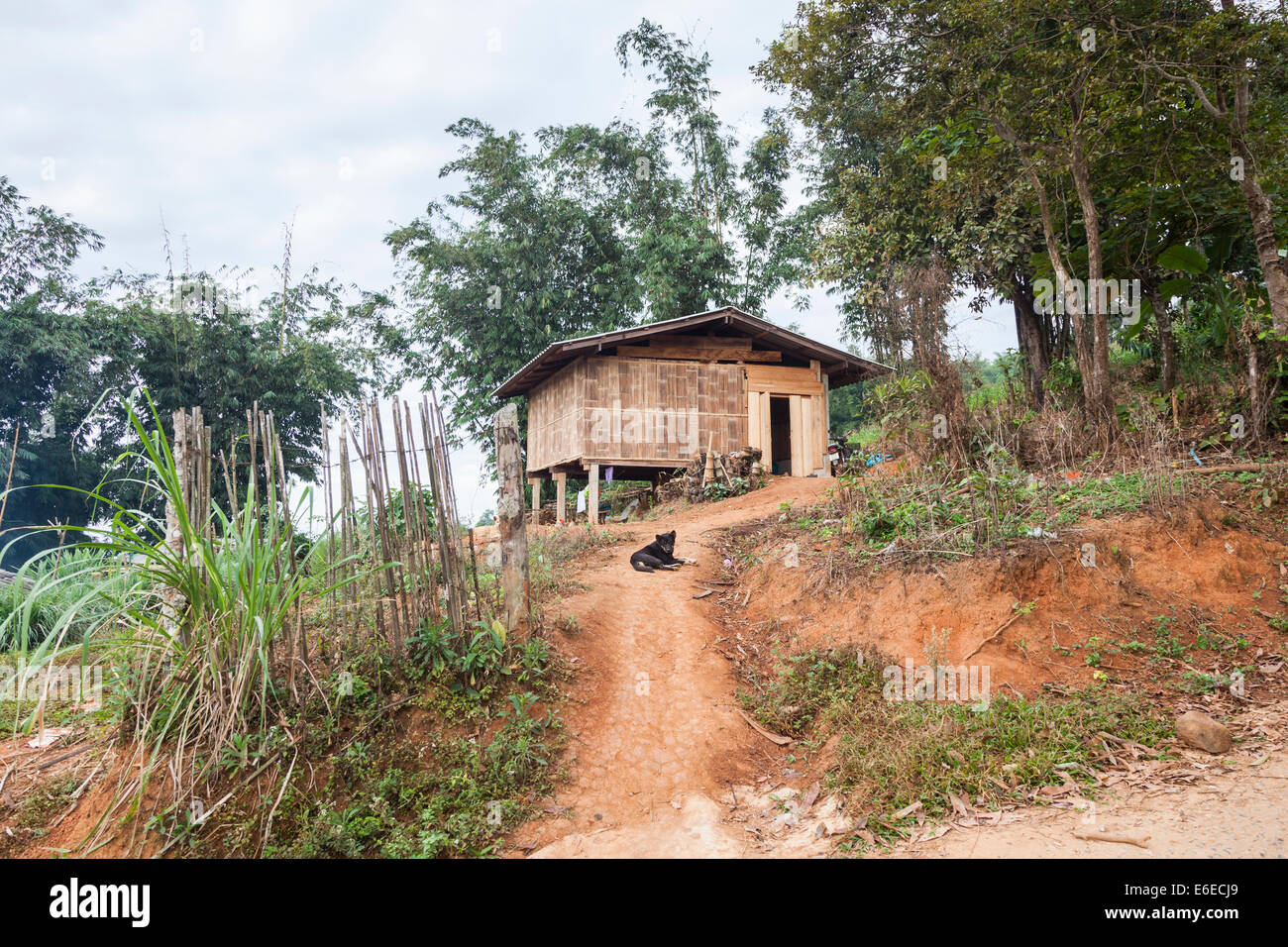Typical Lahu wooden village house on stilts, Chiang Khong in Chiang Rai ...