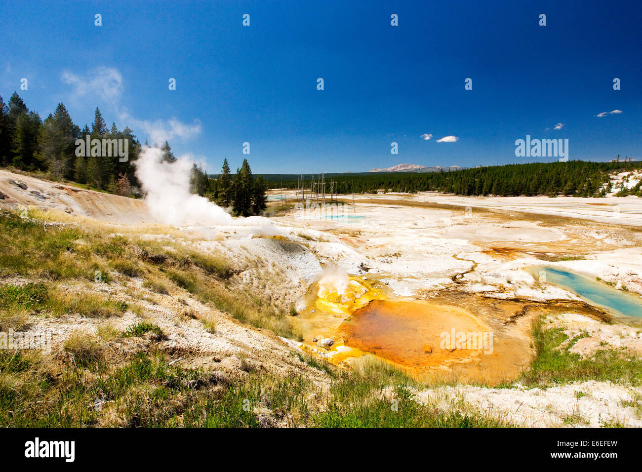 Geothermal spring at Yellowstone National Park, USA Stock Photo - Alamy
