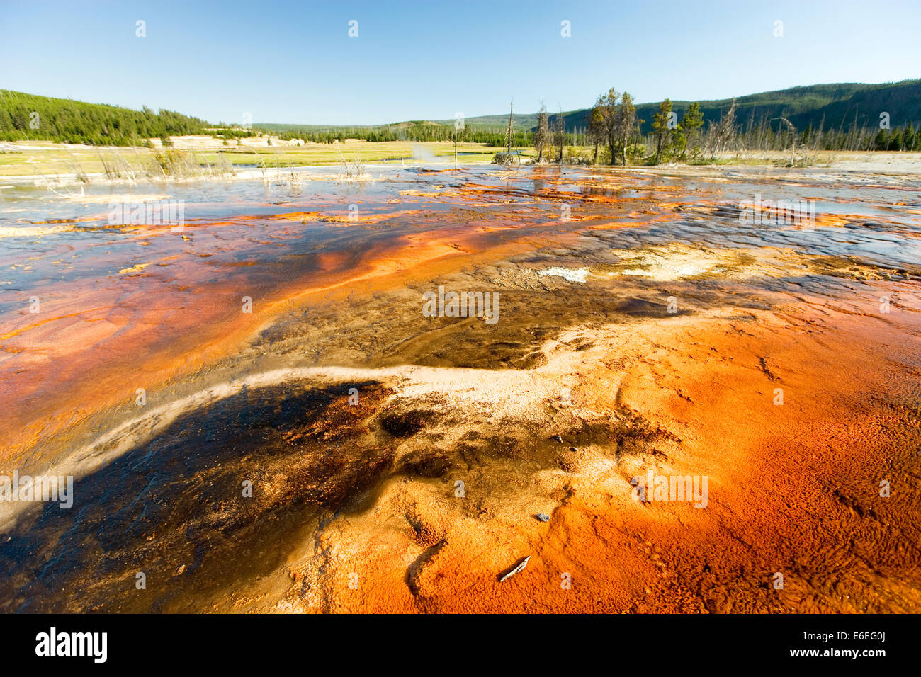 Geothermal spring Yellowstone National Park, USA Stock Photo - Alamy