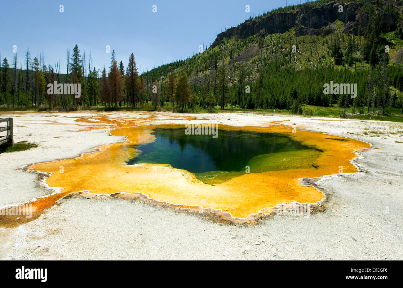 Hot geothermal pool at Yellowstone National Park, USA Stock Photo - Alamy