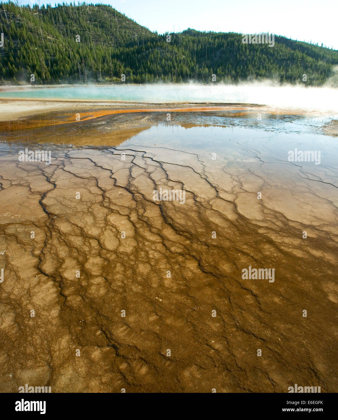 Geothermal spring Yellowstone National Park, USA Stock Photo - Alamy