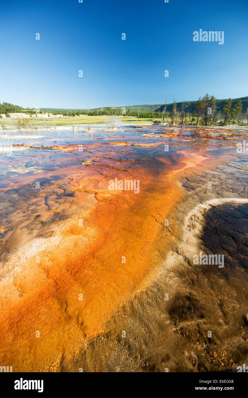 Geothermal spring Yellowstone National Park, USA Stock Photo - Alamy