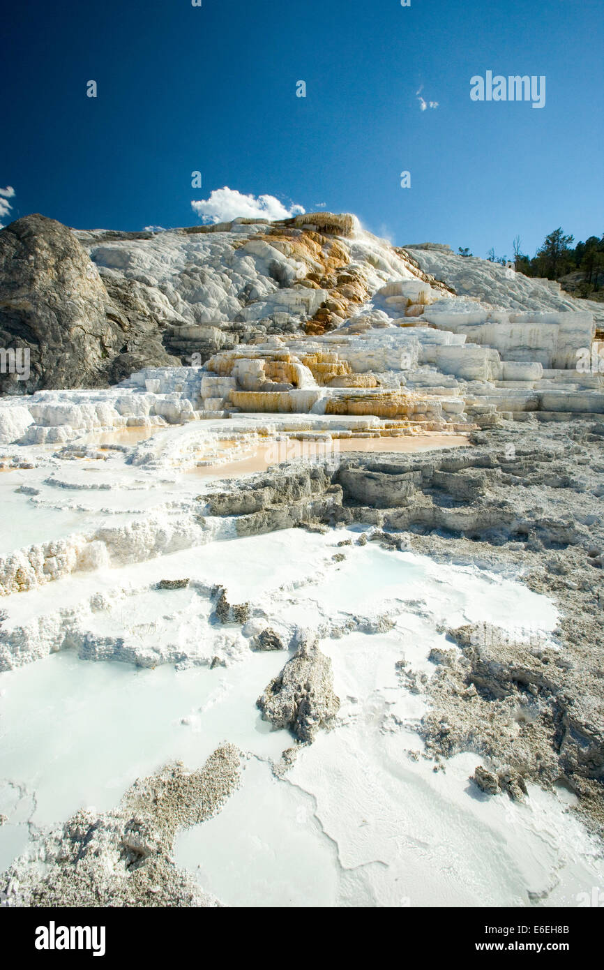 Travertine terraces at Palette Spring, Mammoth Hot Springs, Yellowstone ...