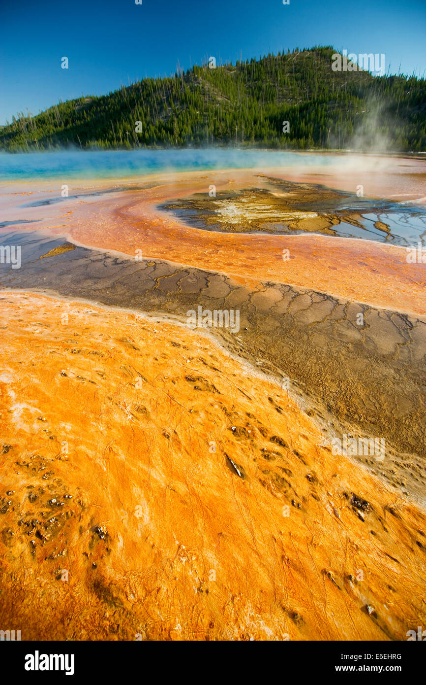 Geothermal spring Yellowstone National Park, USA Stock Photo - Alamy