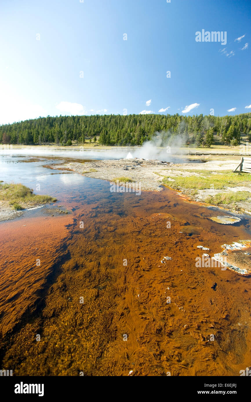 Geothermal spring Yellowstone National Park, USA Stock Photo - Alamy