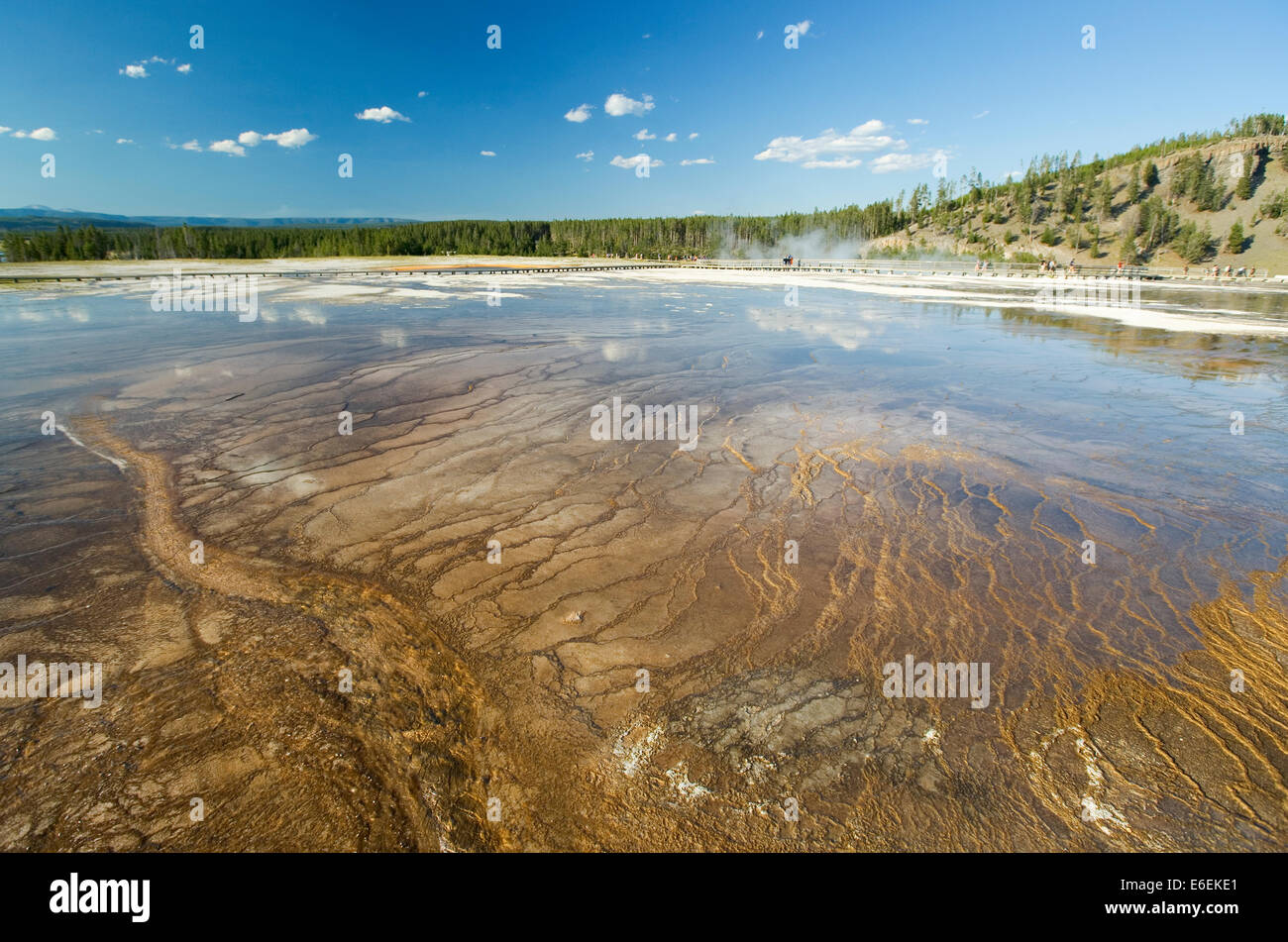 Geothermal spring Yellowstone National Park, USA Stock Photo - Alamy