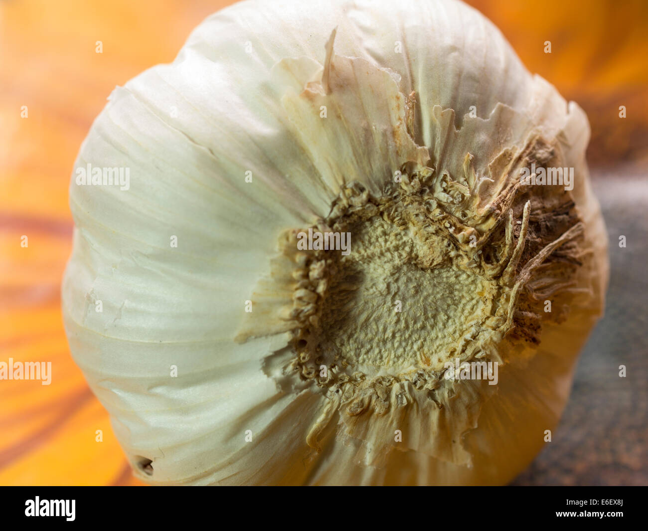 Garlic taste hi-res stock photography and images - Alamy