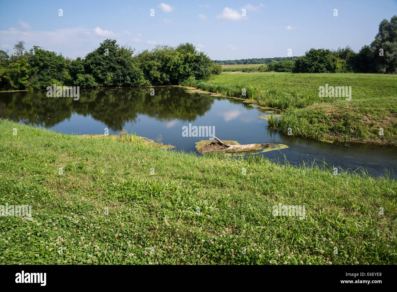 River Bosut near Vinkovci, Slavonia, Croatia Stock Photo - Alamy