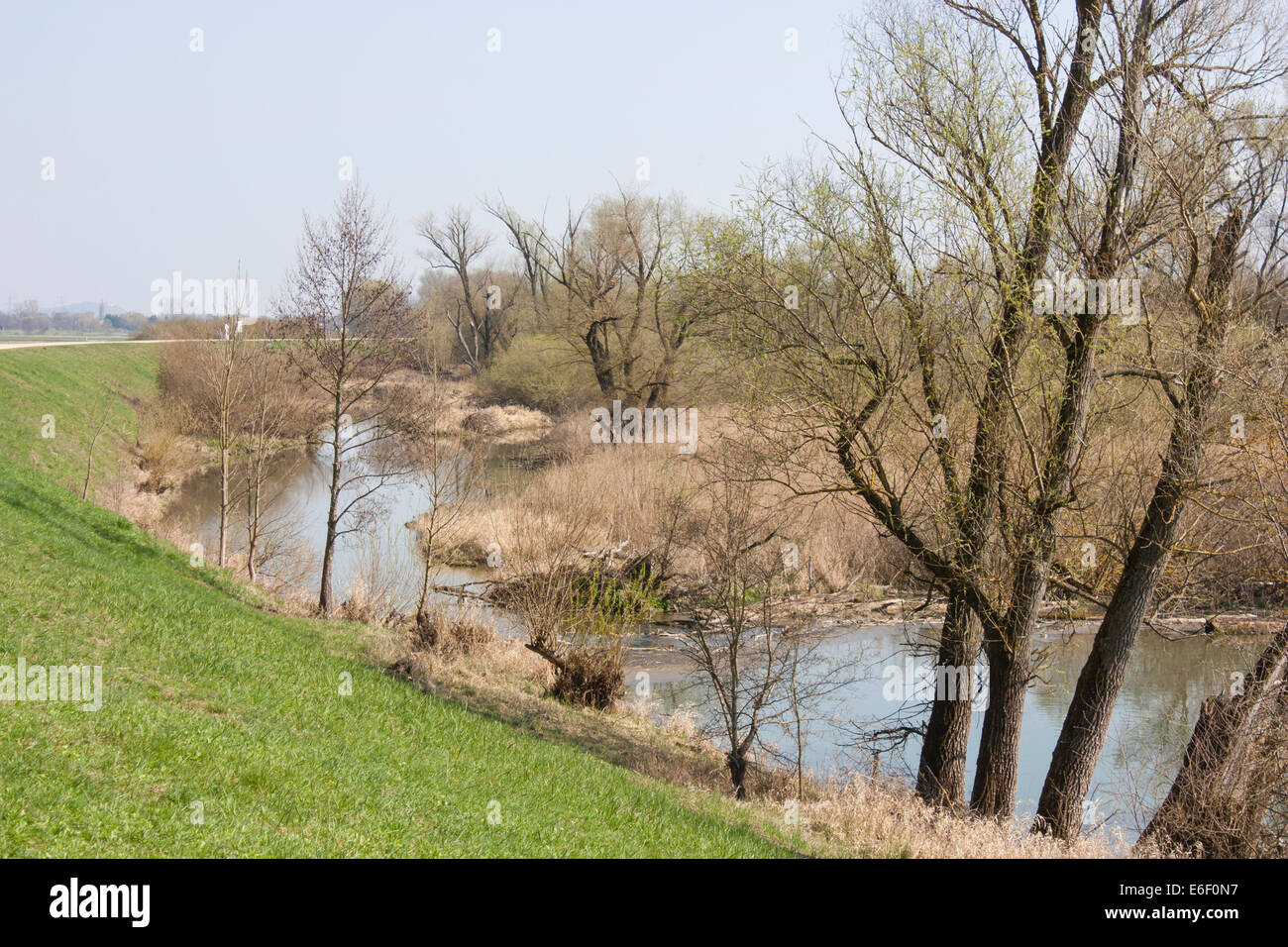 Danube Germany Bavarian Backwater nature river Stock Photo - Alamy