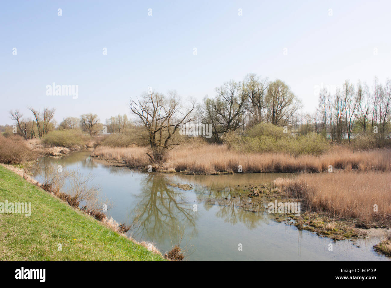 Danube Germany Bavarian Backwater nature river Stock Photo - Alamy