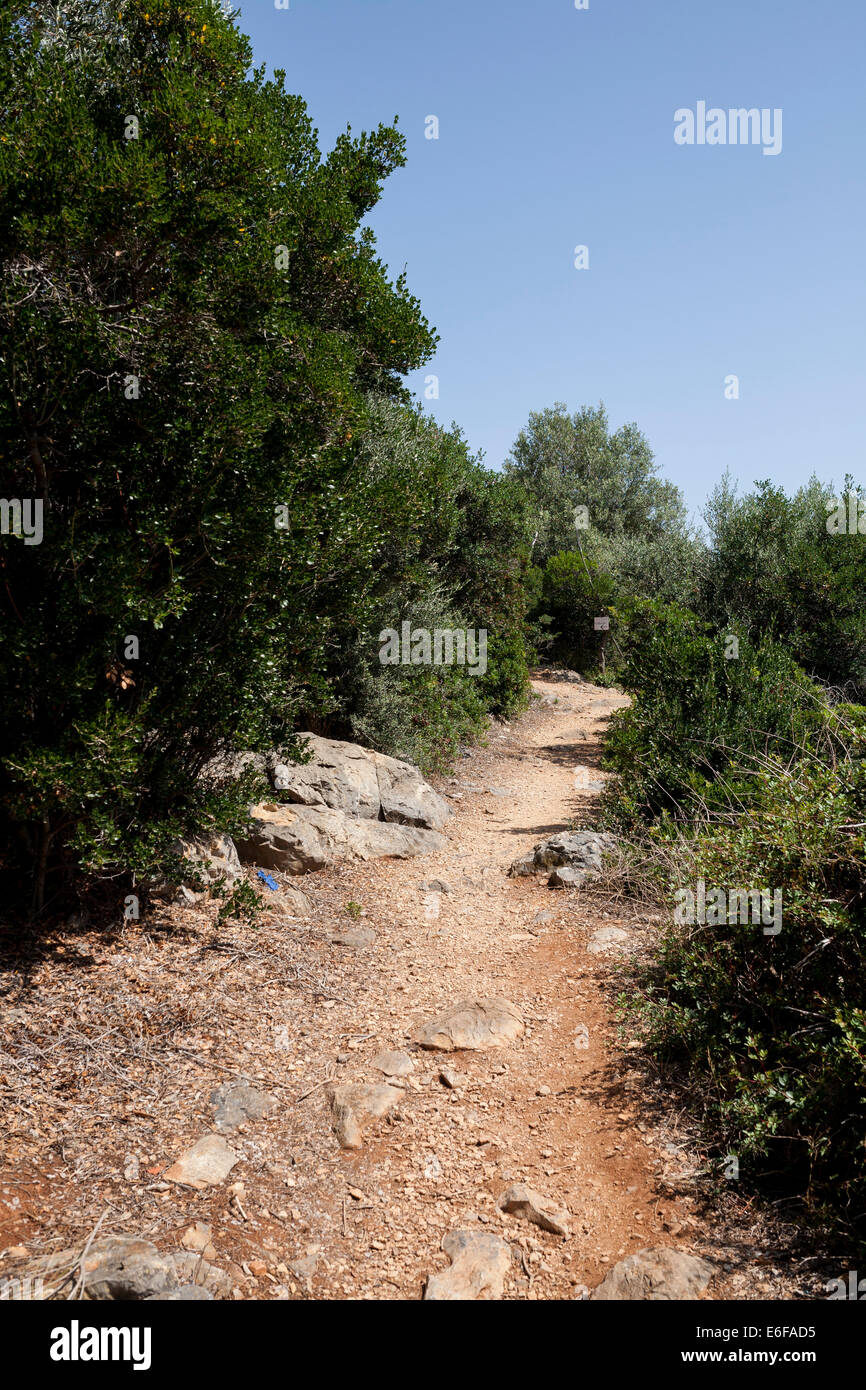 Steni Vala, Alonnisos, Greece on August 2014 Stock Photo - Alamy