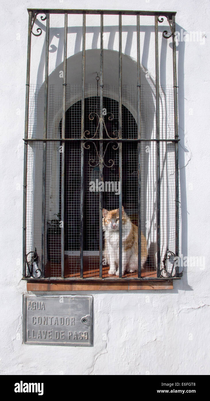 Long bars hi-res stock photography and images - Alamy