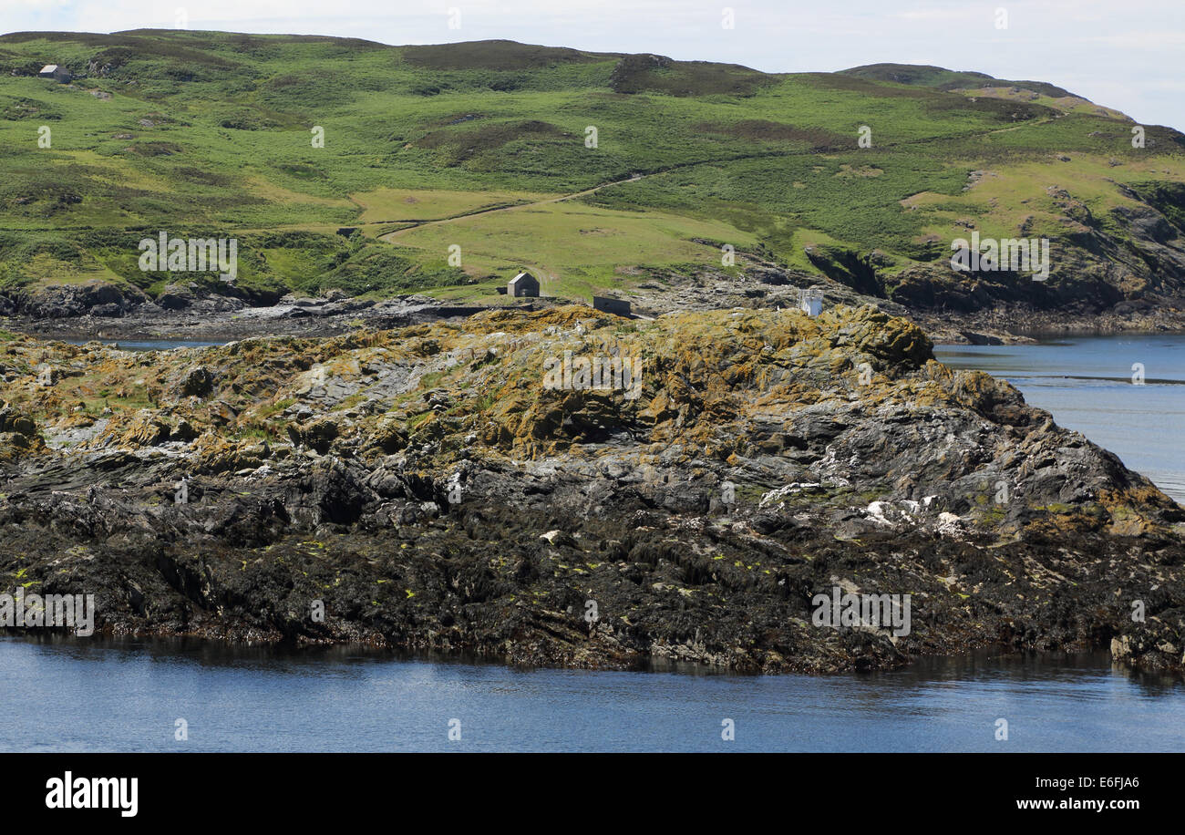 calf of man on the south west coast of the isle of man Stock Photo - Alamy