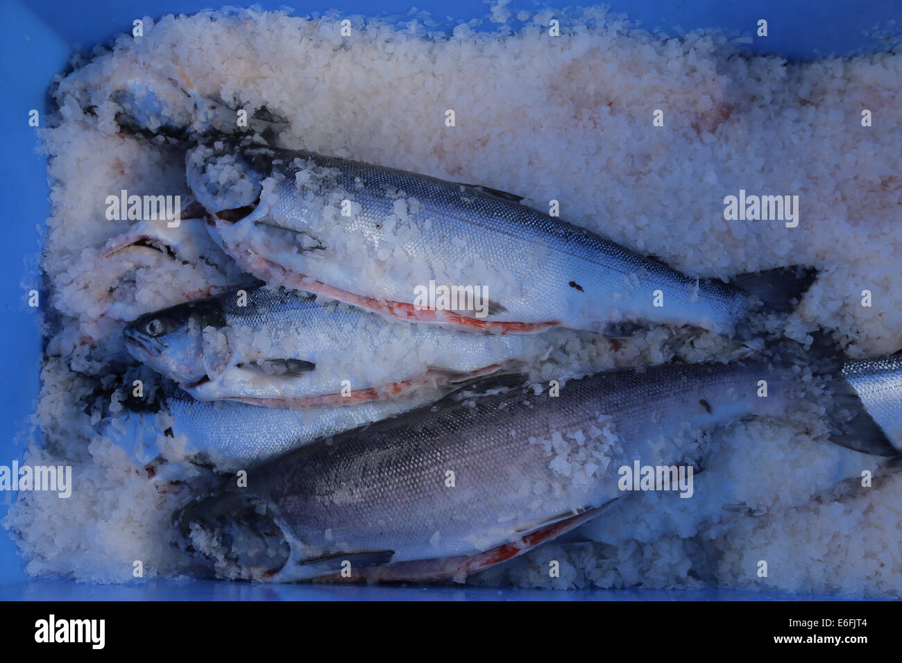 Fish container hi-res stock photography and images - Alamy