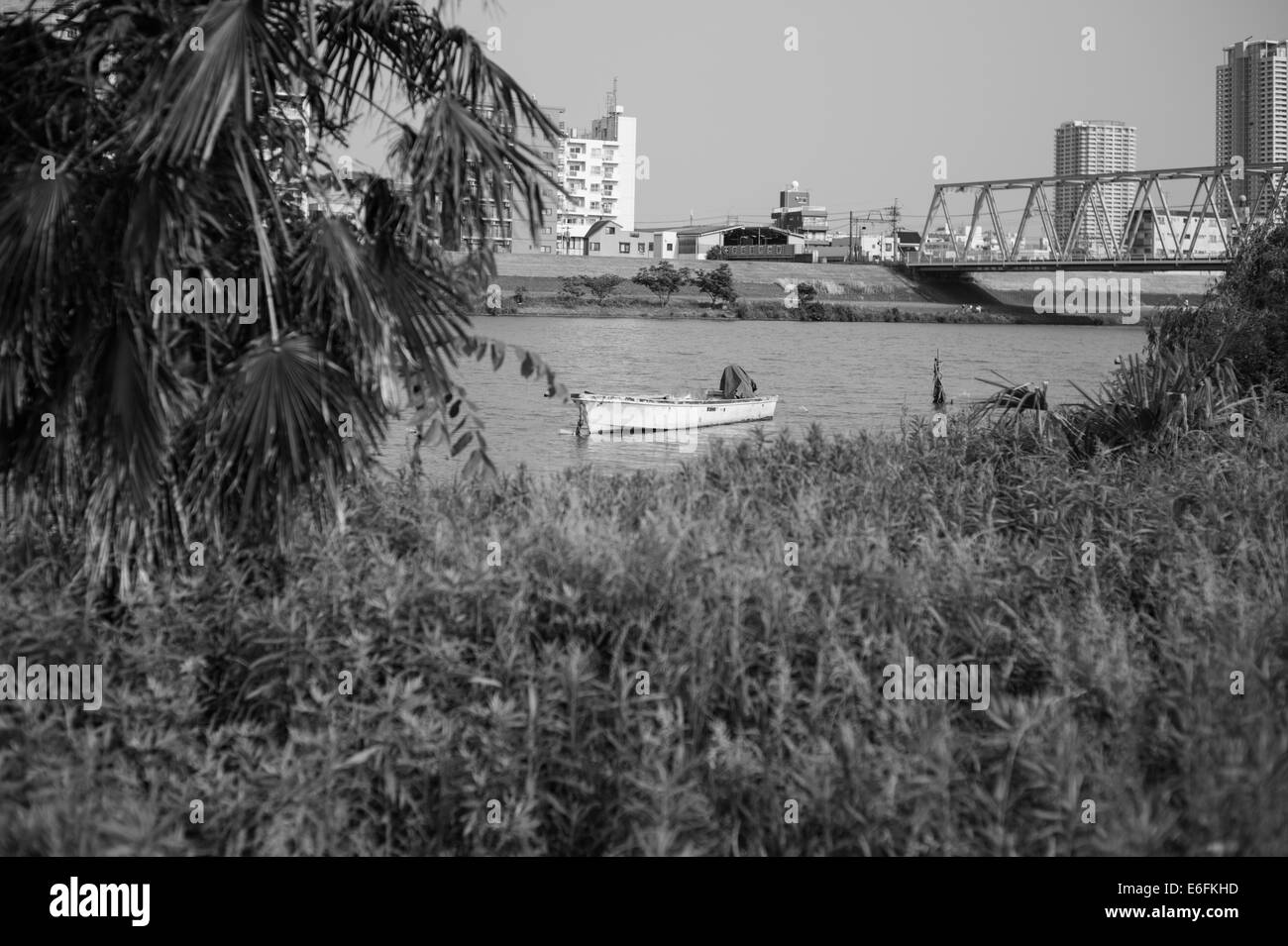 Palm tree in front of Edogawa (Edo River) at edge of Tokyo with boat ...