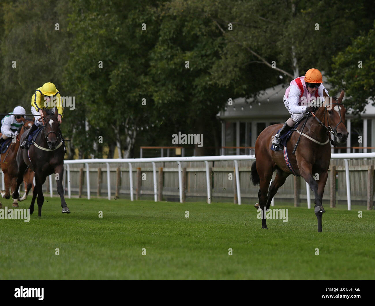 Action horseracing jockey celebrating hi-res stock photography and ...