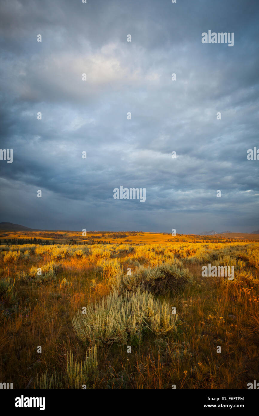 Dramatic clouds over the sagebrush plains: sunrise on the Blacktail ...