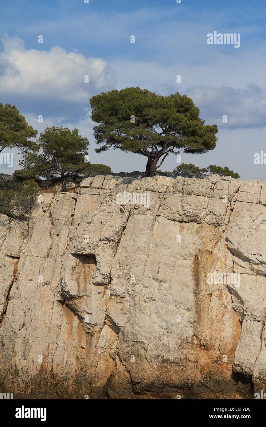 The white limestone cliffs at Calanques National Park, Cassis, France ...