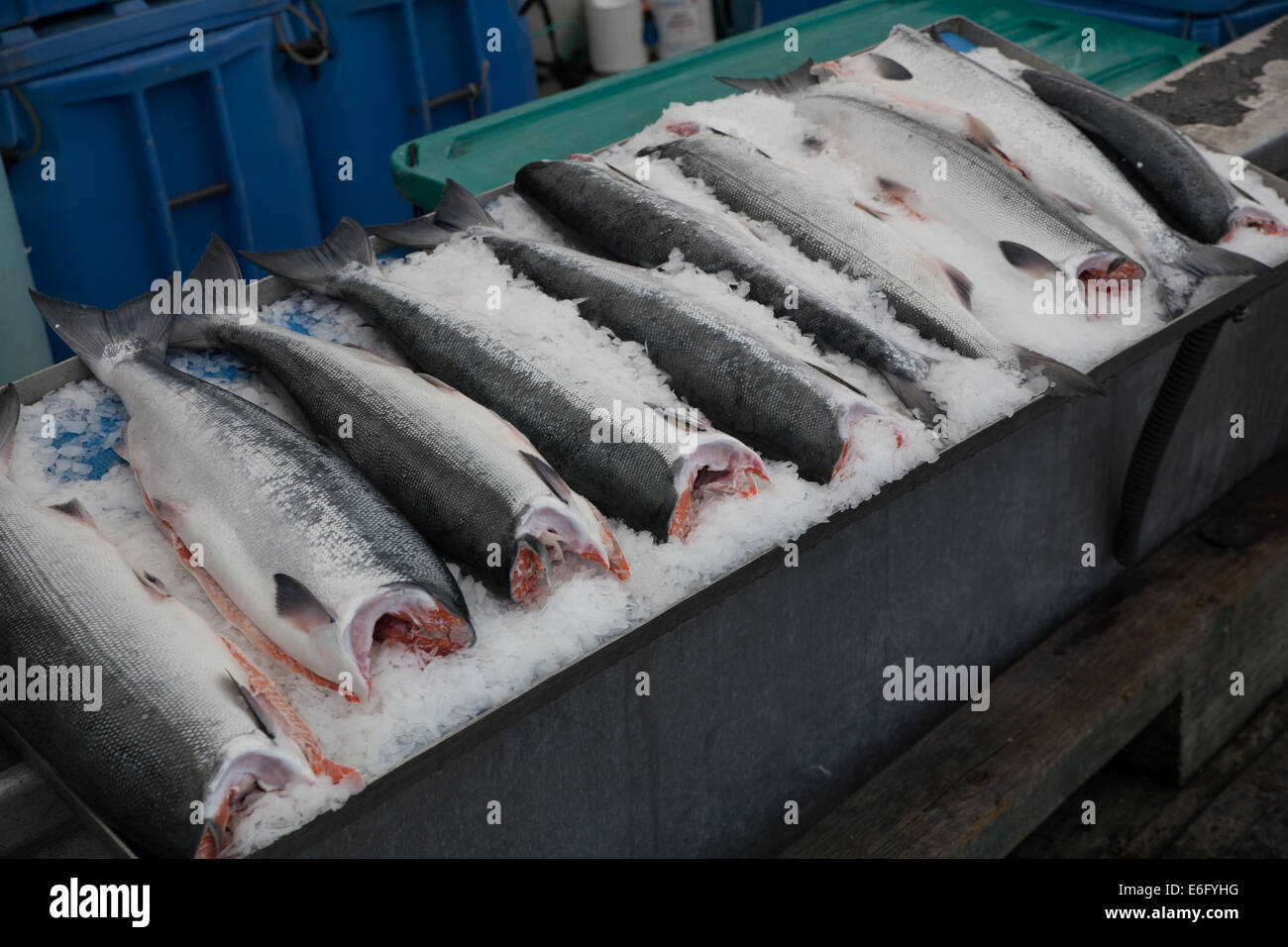 fish market vendor Stock Photo - Alamy