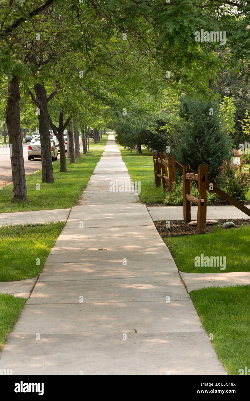 Tree Lined Sidewalk, Great Falls, MT Stock Photo - Alamy