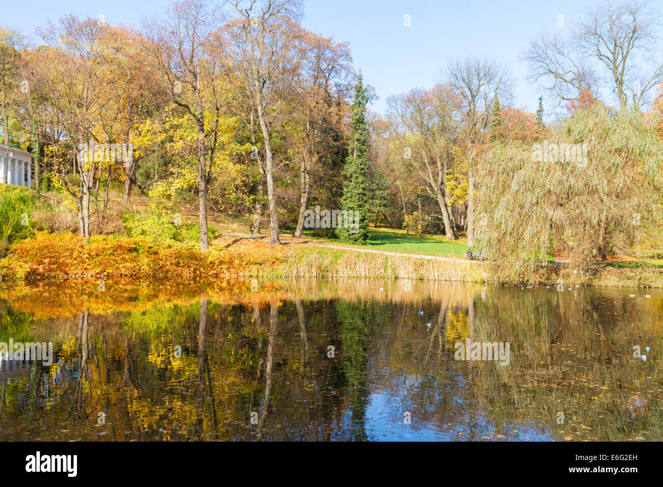 autumn park with trees over water Stock Photo - Alamy