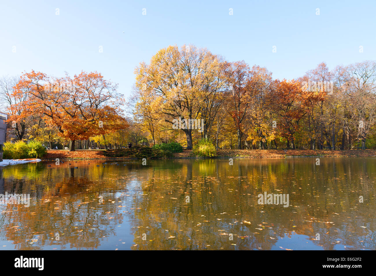 autumn park with trees over water Stock Photo - Alamy