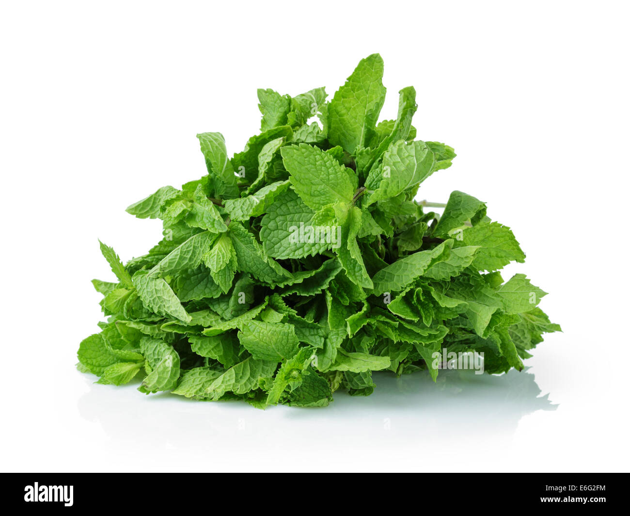 bunch of fresh mint , isolated on white background Stock Photo - Alamy