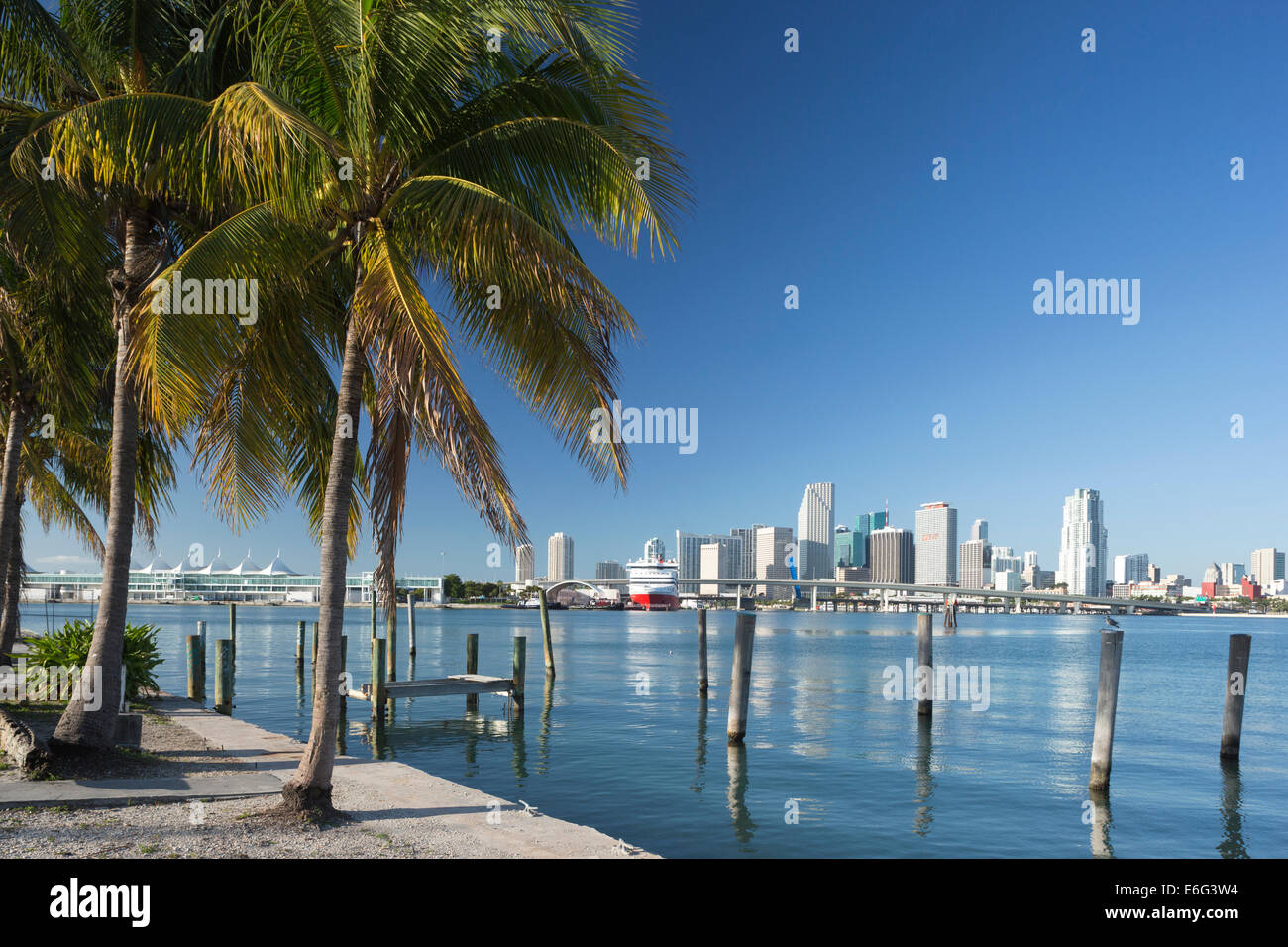 PALM TREES WATSON ISLAND DOWNTOWN SKYLINE BISCAYNE BAY MIAMI FLORIDA ...
