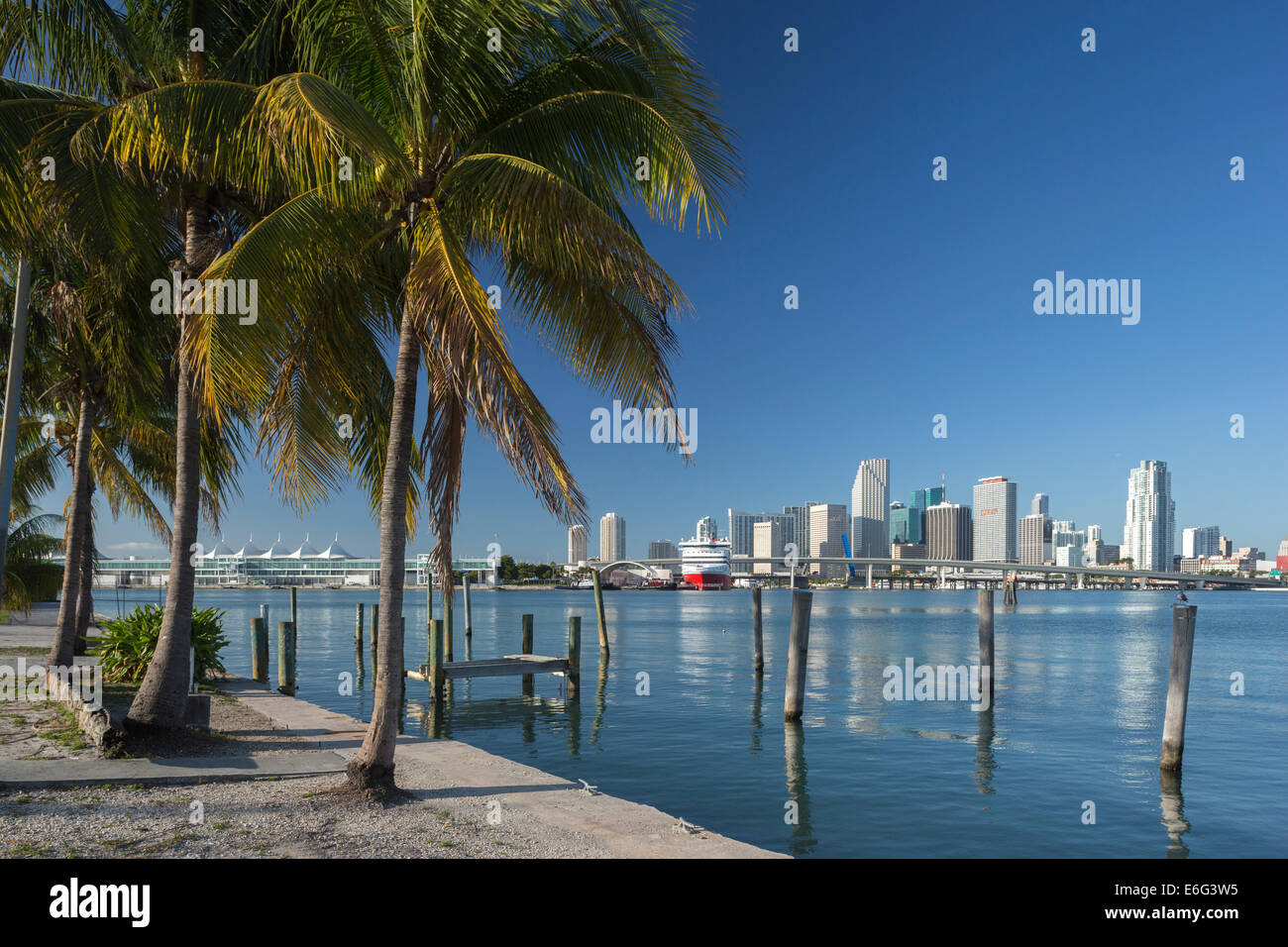 PALM TREES WATSON ISLAND DOWNTOWN SKYLINE BISCAYNE BAY MIAMI FLORIDA ...