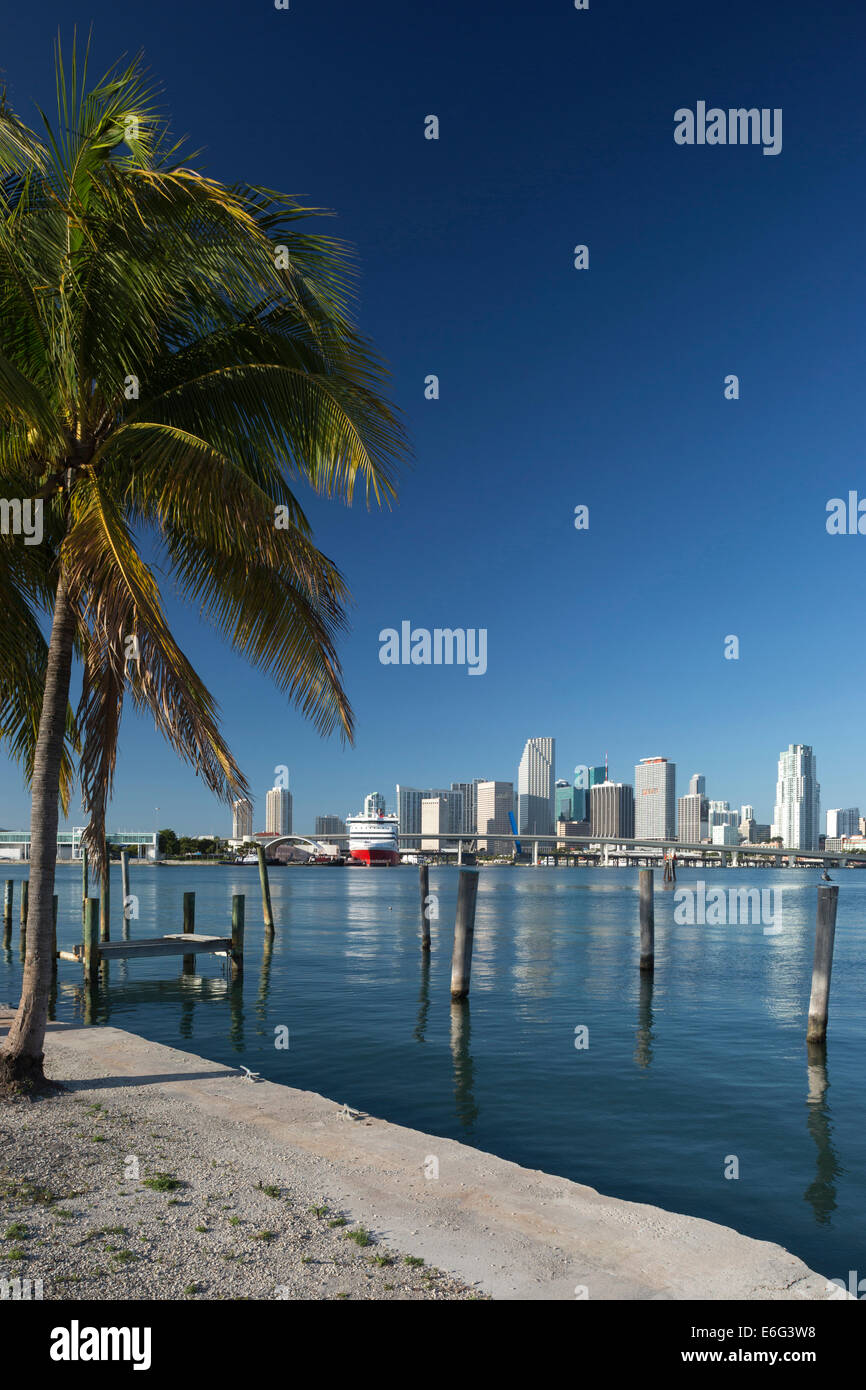 PALM TREES WATSON ISLAND DOWNTOWN SKYLINE BISCAYNE BAY MIAMI FLORIDA ...