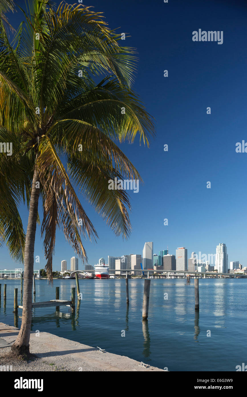 PALM TREES WATSON ISLAND DOWNTOWN SKYLINE BISCAYNE BAY MIAMI FLORIDA ...