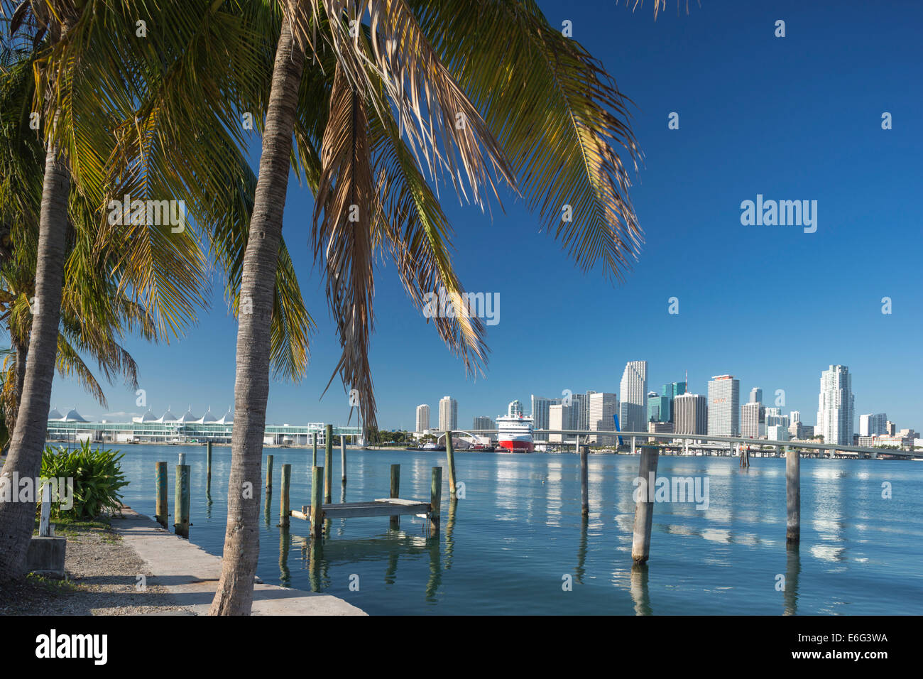 PALM TREES WATSON ISLAND DOWNTOWN SKYLINE BISCAYNE BAY MIAMI FLORIDA ...