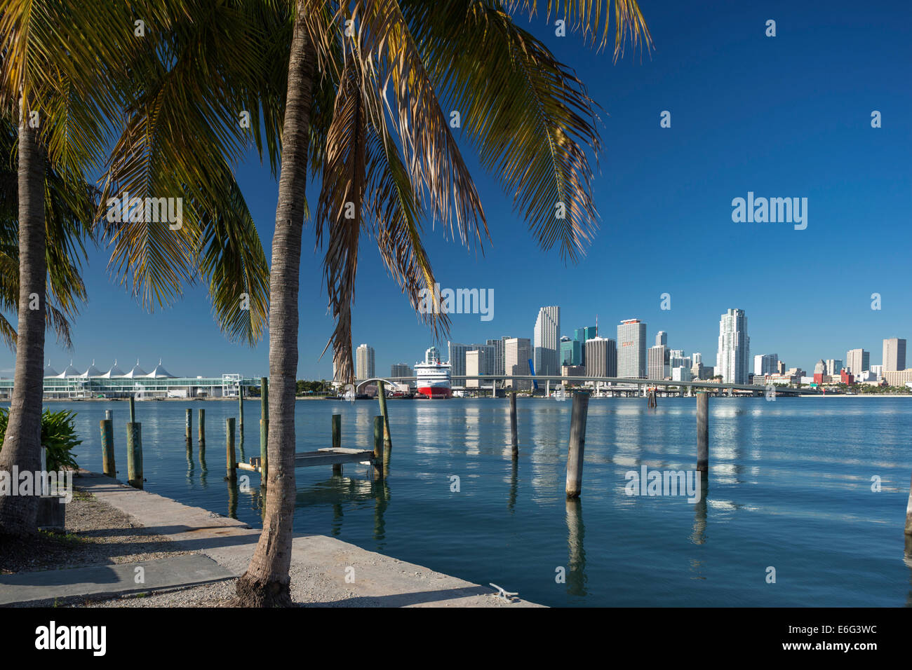 PALM TREES WATSON ISLAND DOWNTOWN SKYLINE BISCAYNE BAY MIAMI FLORIDA ...