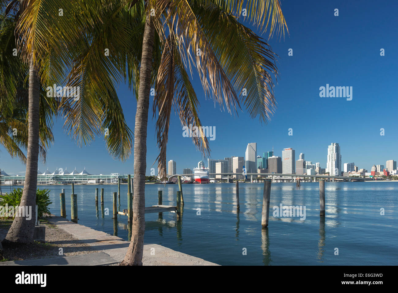 PALM TREES WATSON ISLAND DOWNTOWN SKYLINE BISCAYNE BAY MIAMI FLORIDA ...