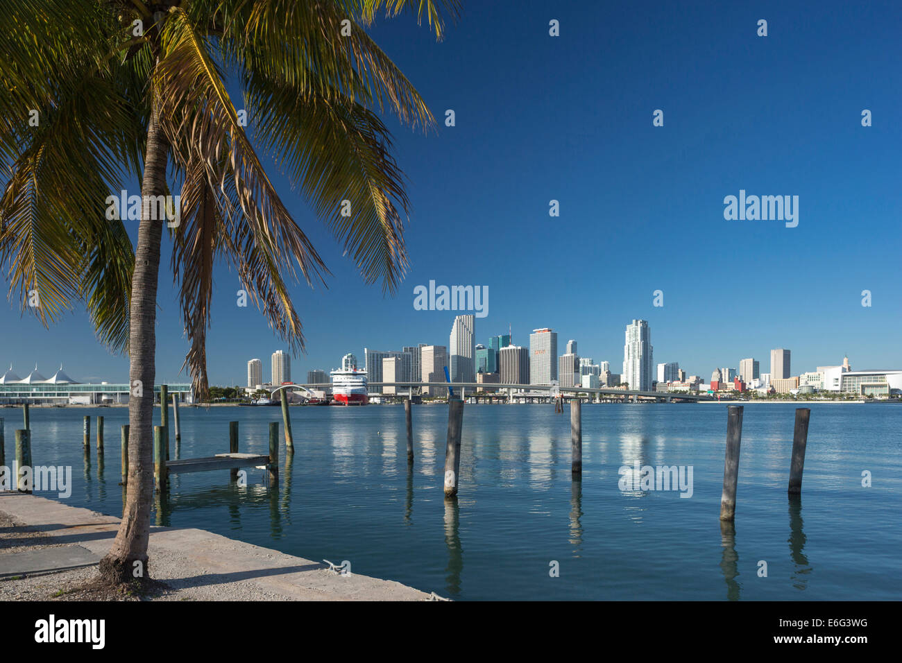 PALM TREES WATSON ISLAND DOWNTOWN SKYLINE BISCAYNE BAY MIAMI FLORIDA ...