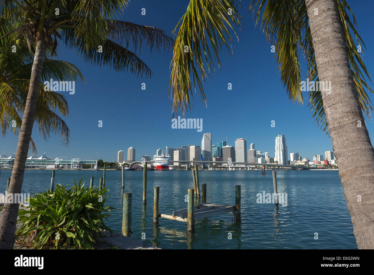 PALM TREES WATSON ISLAND DOWNTOWN SKYLINE BISCAYNE BAY MIAMI FLORIDA ...