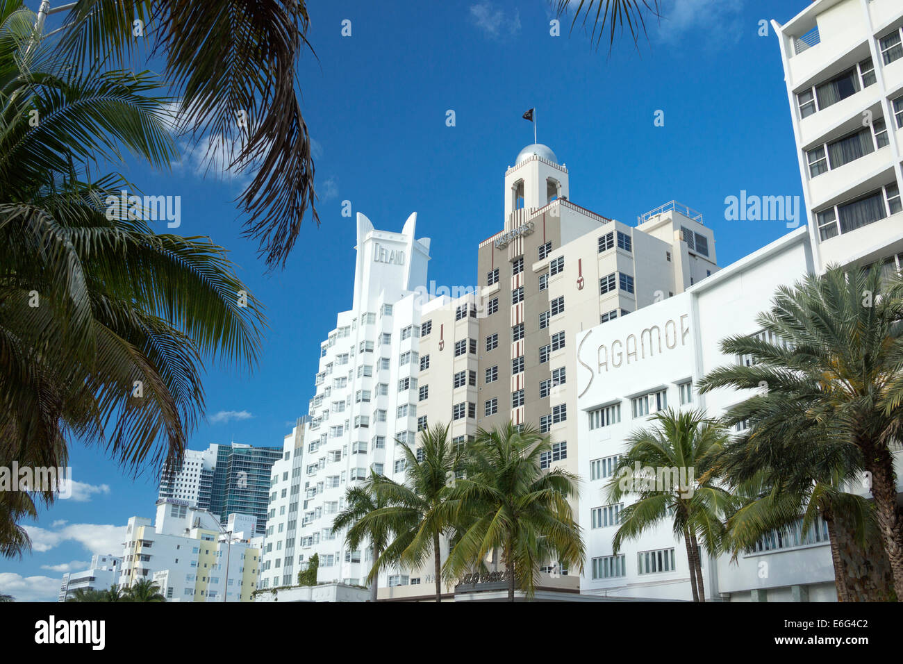 ART DECO HOTELS COLLINS AVENUE MIAMI BEACH FLORIDA USA Stock Photo - Alamy