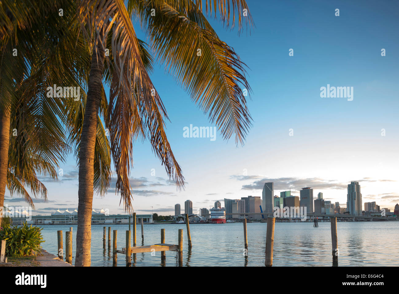 PALM TREES WATSON ISLAND DOWNTOWN SKYLINE BISCAYNE BAY MIAMI FLORIDA ...