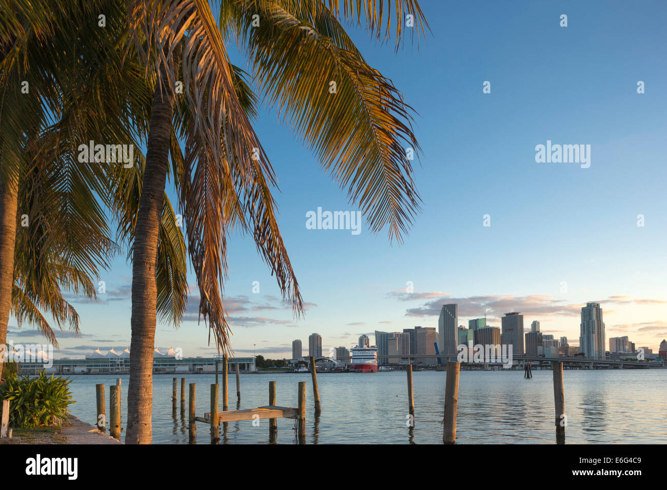 PALM TREES WATSON ISLAND DOWNTOWN SKYLINE BISCAYNE BAY MIAMI FLORIDA ...