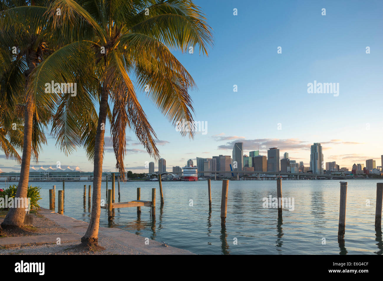 PALM TREES WATSON ISLAND DOWNTOWN SKYLINE BISCAYNE BAY MIAMI FLORIDA ...